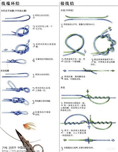 一般钓鲫鱼用几号八字环图标