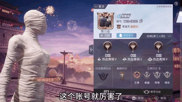 和平精英名字的限制截图