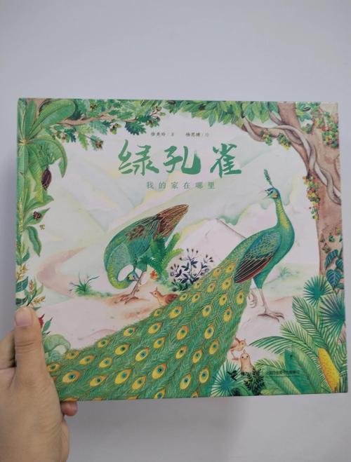 孔雀森林在线阅读图标