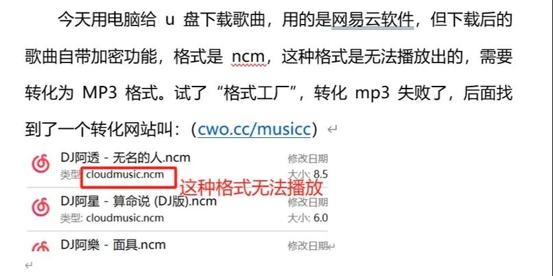 酷狗下载到U盘的歌听不了图标
