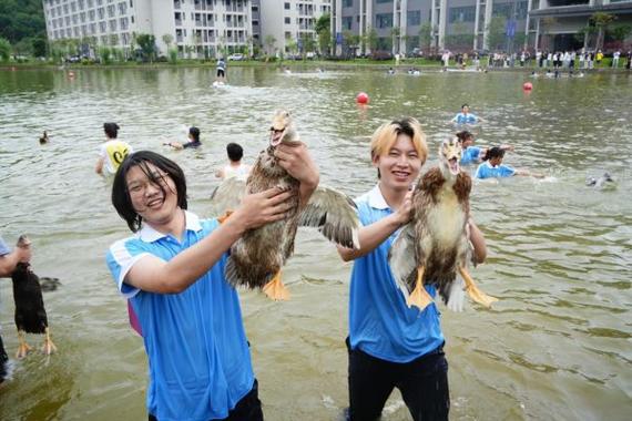 抓鸭子活动图标