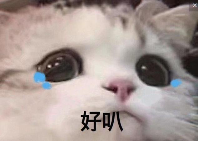 很萌的表情包图标