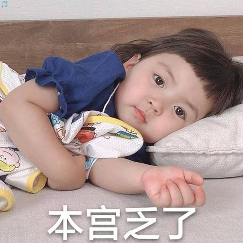 抖音罗熙表情包图标