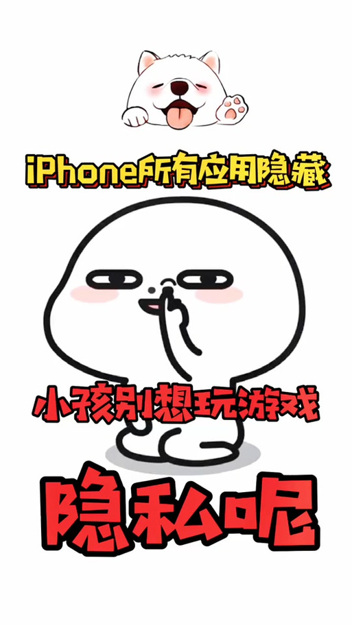 ipad有隐私空间吗图标