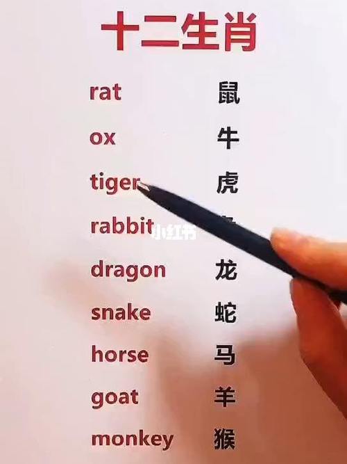 hare怎么读截图