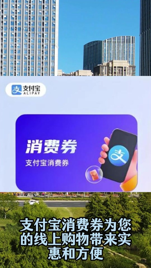 支付券是干嘛的图标