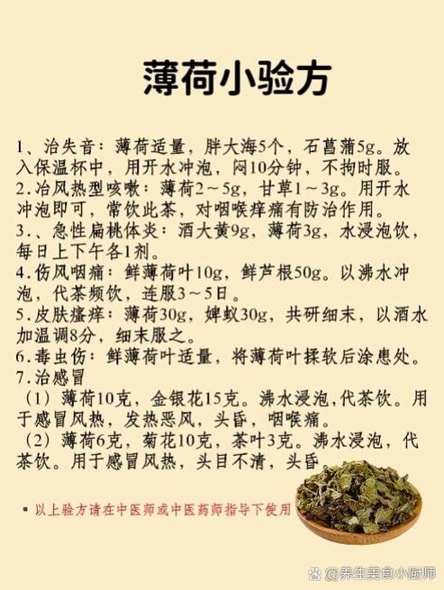 溥荷叶功效和用处图标