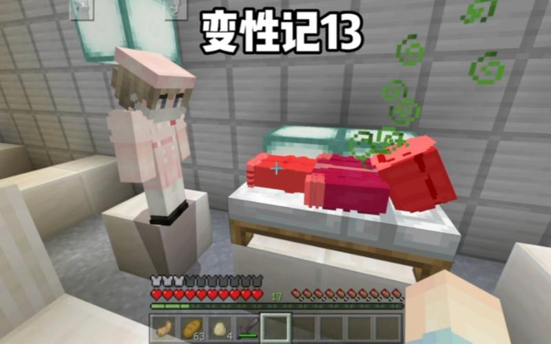 我的世界性别手术图标