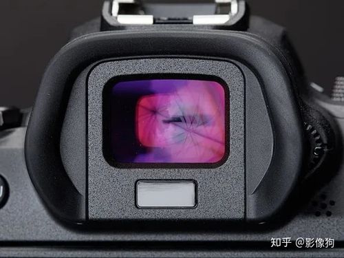 r6怎么切换队内聊天截图