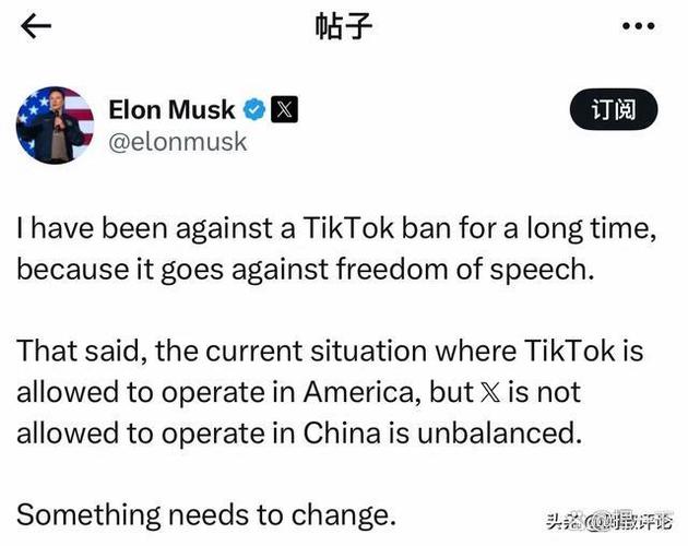 tiktok为什么在国内打不开图标
