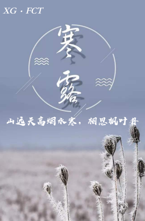 寒露的说说心情短语图标