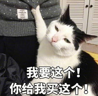 我想要这个给我买表情包
