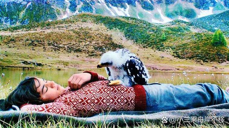 老鹰搅动巢窝