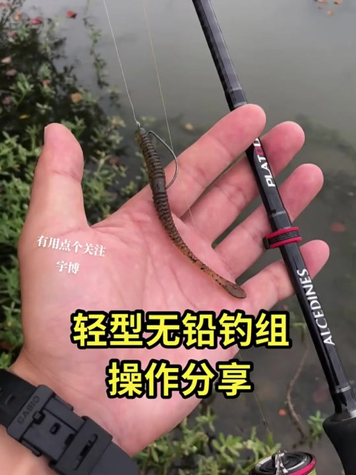 初学路亚钓鱼视频教学图标