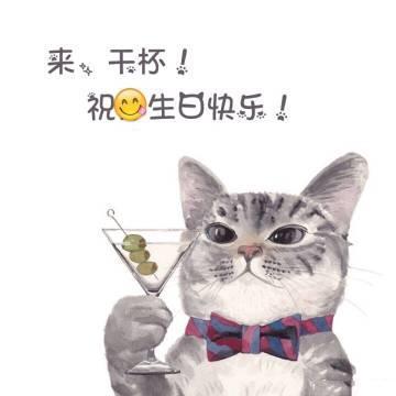 猫咪生日祝福截图