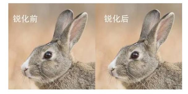 锐化是什么意思截图