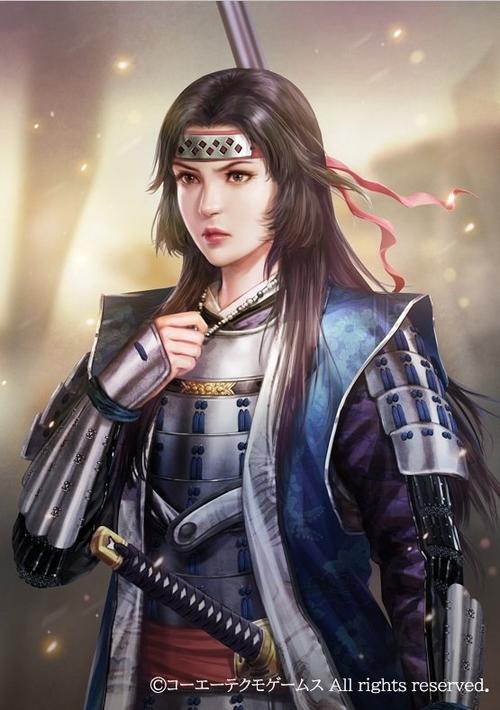 信长之野望最新版图标