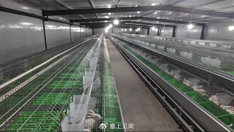离我最近的种兔养殖场图标