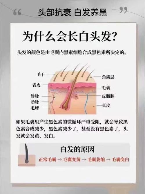 头发变白是什么原因引起的图标