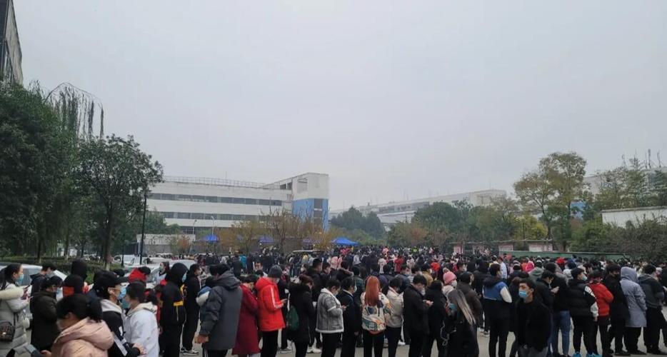 富士康工资等级图标