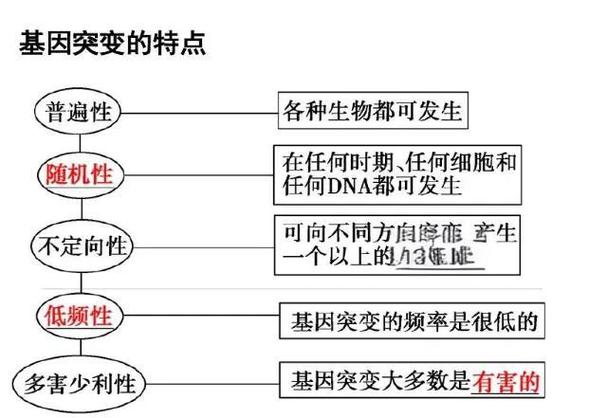 基因突变的原因及机制图标