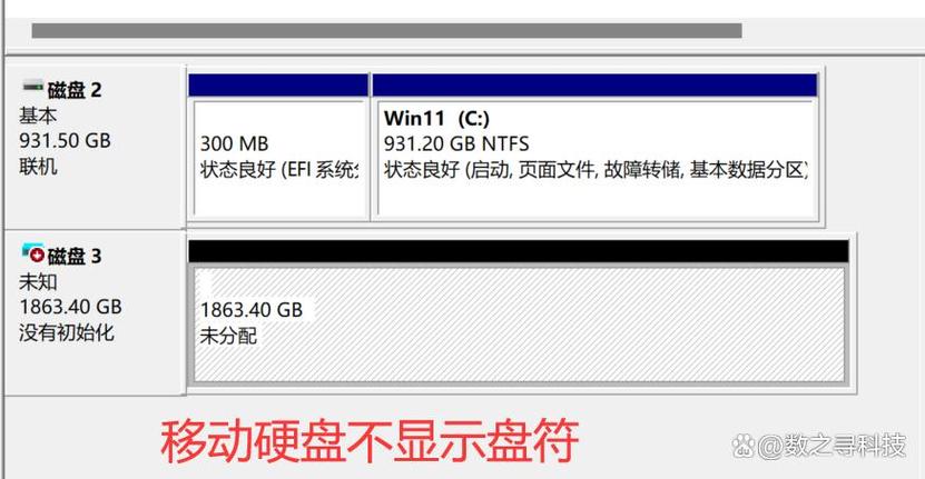 移动硬盘不显示盘符,磁盘管理中有图标