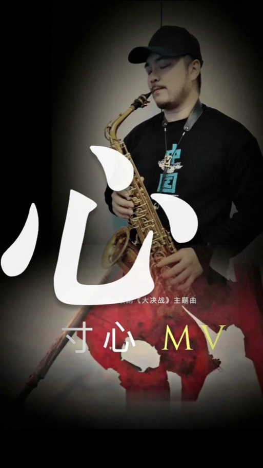寸心 歌曲截图