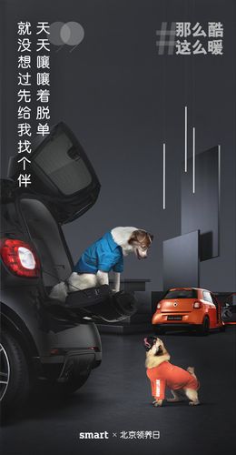 Smart享你所想官网登录入口