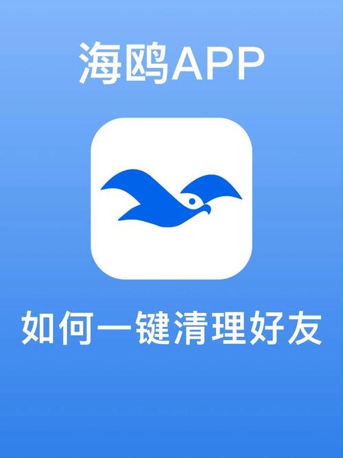 海鸥聊天软件图标