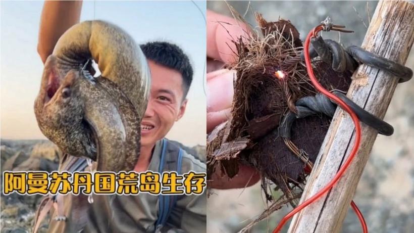 平头哥赶海抓鱼图标