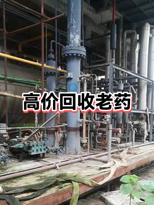 回收二手药联系方式电话截图