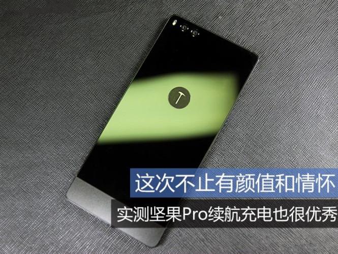 坚果pro充电红灯一直闪截图