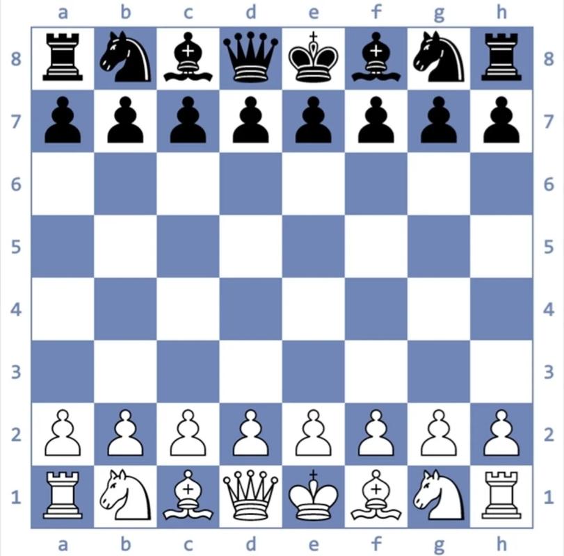 国际象棋需要报班学吗图标