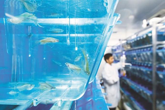 水族研究所图标