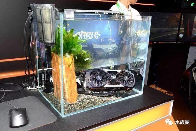 鱼缸水体计算机截图