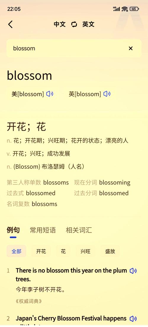 花は咲く翻译图标