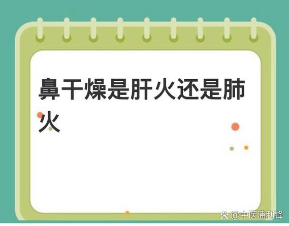 鼻子干燥是肝火还是肺火图标