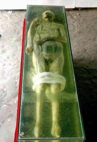 斯大林水晶棺还存在吗截图