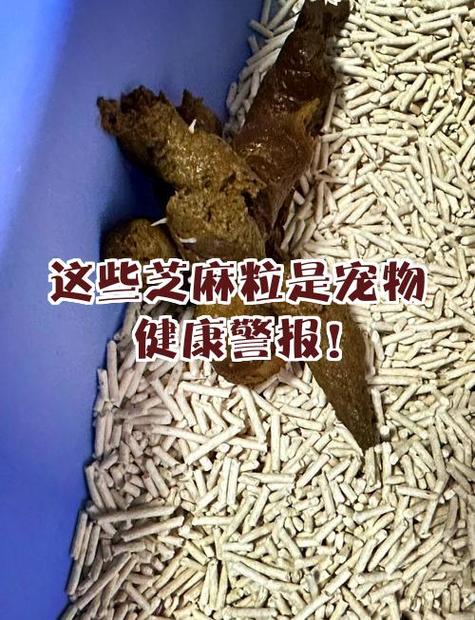 芝麻粒会过期吗截图