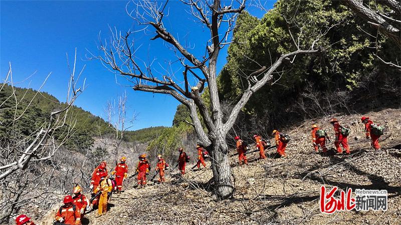 河北森林防火图标