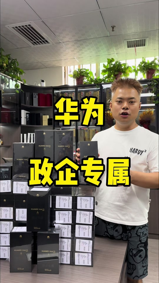 手机政企版是什么意思图标