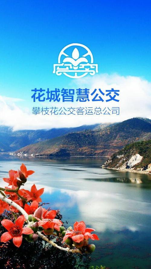 美丽花城智慧2019版本截图
