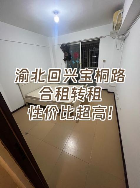 合租房屋租赁合同图标