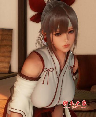 playhome汉化补丁怎么用图标