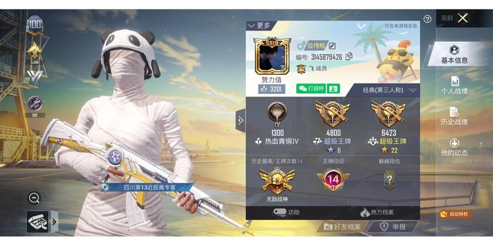 PUBG高级感ID英文截图