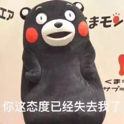 你已经失去我了表情包图标