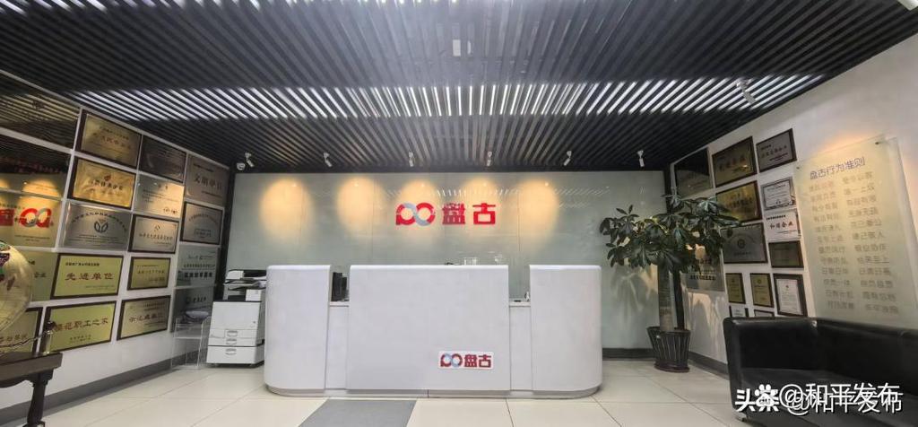 盘古网络有限公司截图