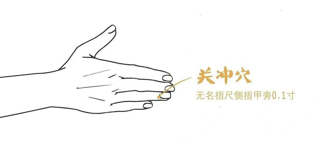 西洋参泻火图标