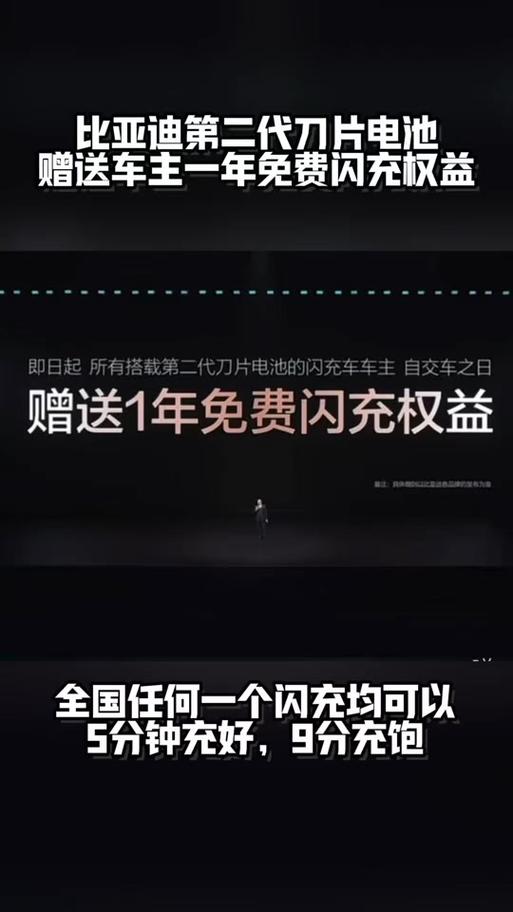 为什么我的闪充突然不是闪充了图标