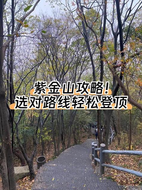紫金最新消息今天图标